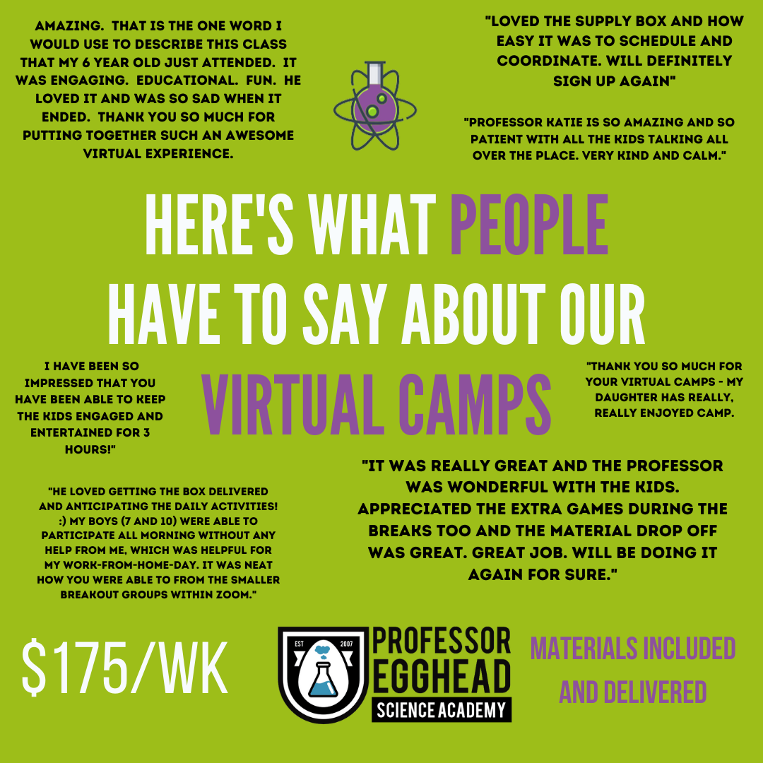Virtual Science Camps - Professor Egghead Science Academy of Orange County